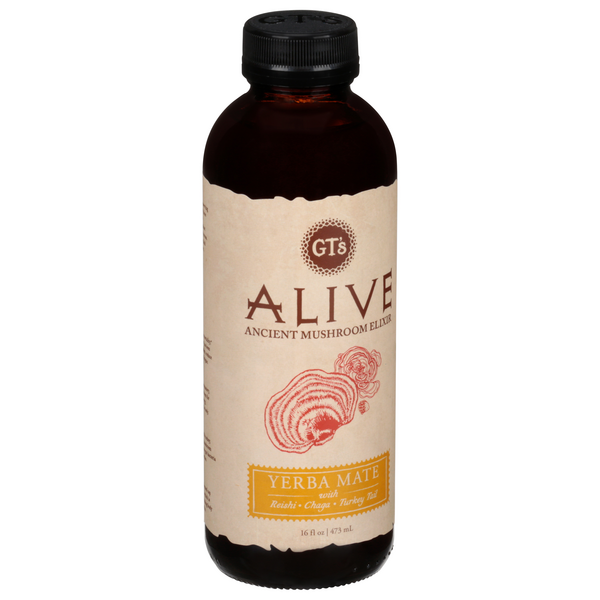GT's Alive Yerba Mate Ancient Mushroom Elixir 16 fl oz | Hy-Vee Aisles ...